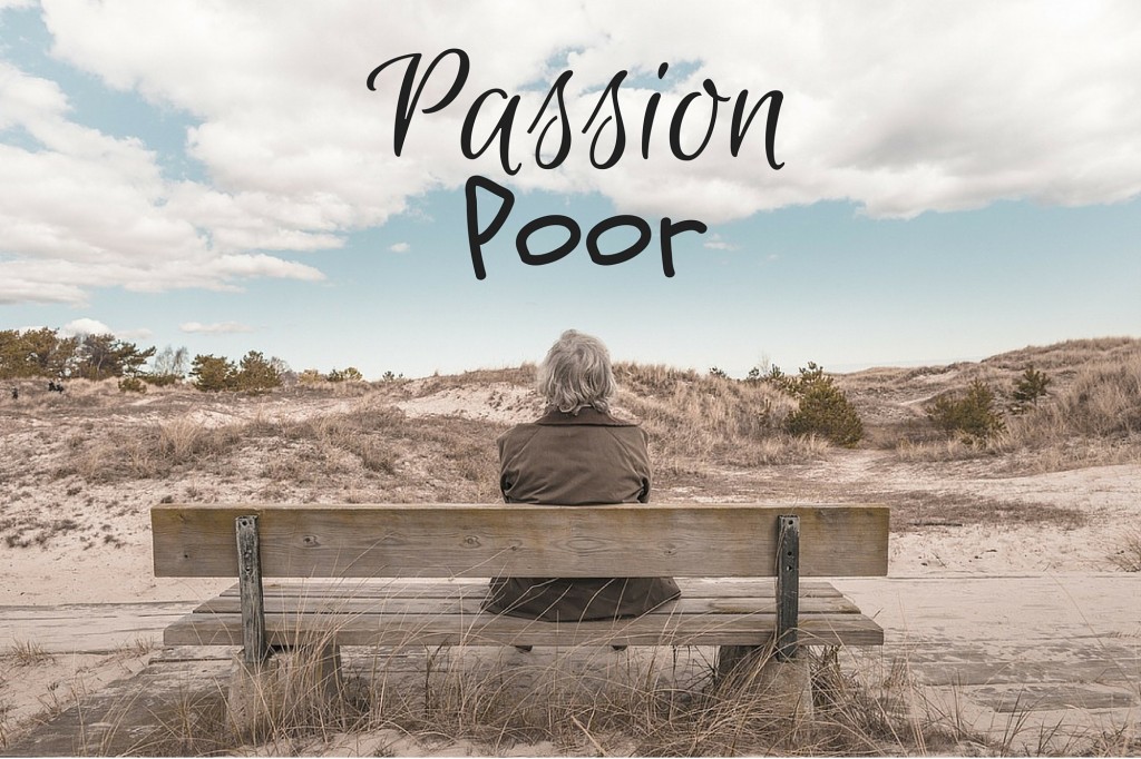 Passion Poor - paNASH Passion & Career Coaching