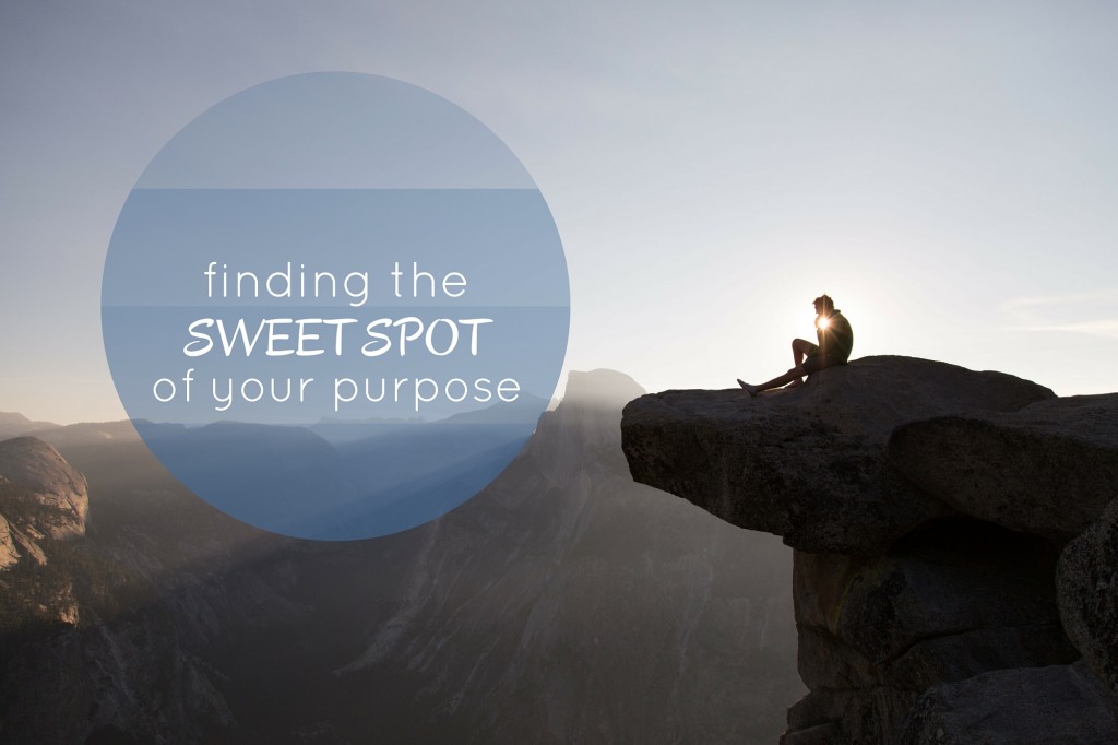 Finding The SWEET SPOT Of Your Purpose - paNASH Passion & Career Coaching