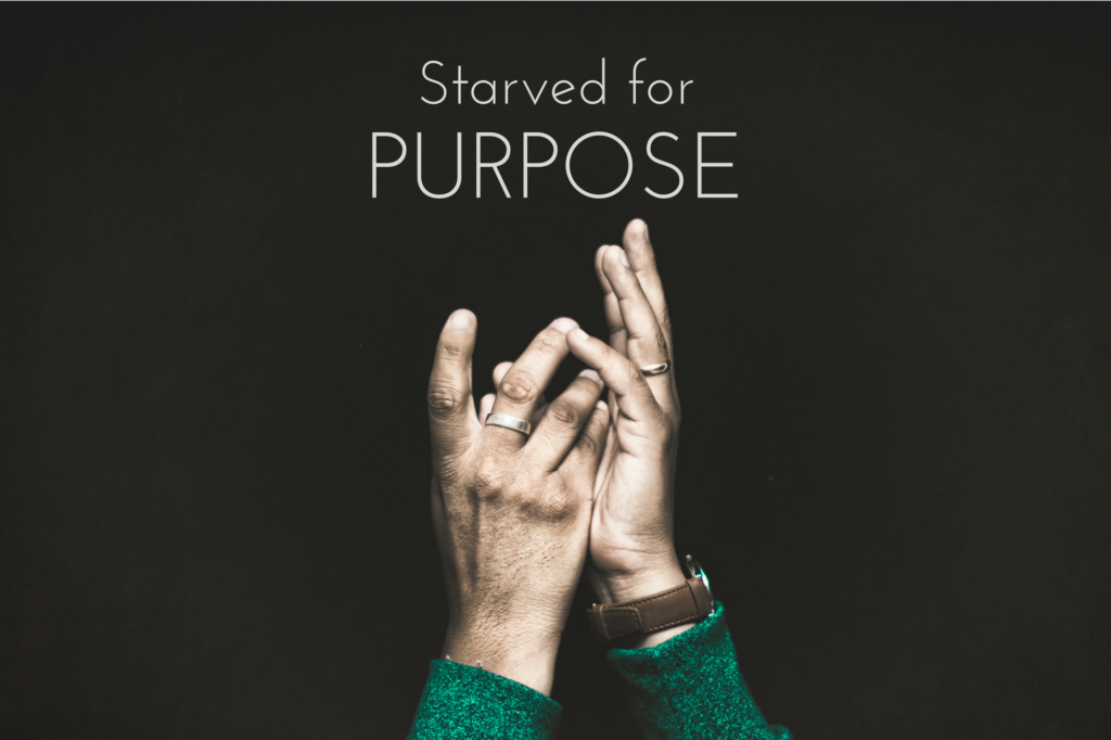 Starved for Purpose - paNASH Passion & Career Coaching