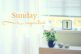 Sunday Inspiration: Set Goals for Your Life - paNASH Passion & Career ...