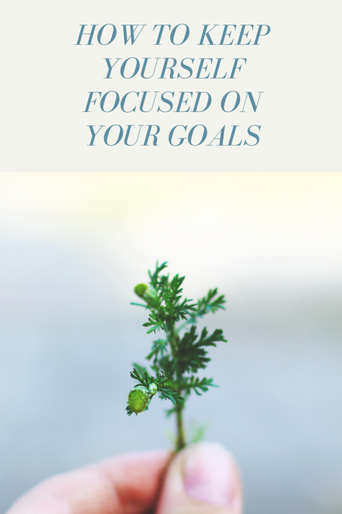 How to Keep Yourself Focused on Your Goals - paNASH Passion & Career ...