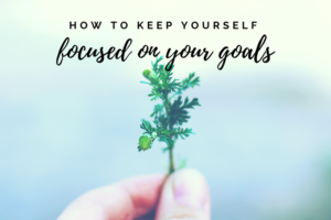 How to Keep Yourself Focused on Your Goals - paNASH Passion & Career ...