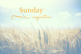 Sunday Inspiration: Success Requires Hard Work and Integrity - paNASH ...